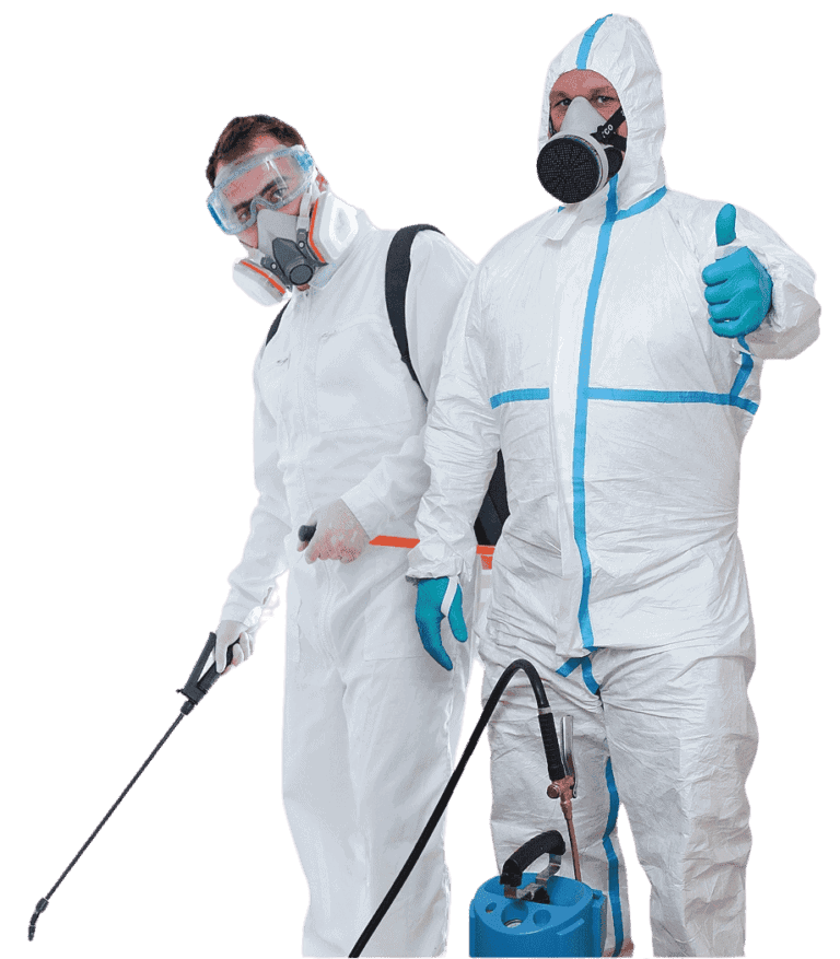 Extermination des Fourmis à Montréal – SOS Extermination – +1-514-501-2076